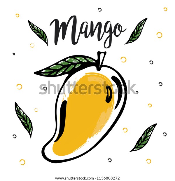 Realistic Hand Drawn Yellow Mango Leaves: เวกเตอร์สต็อก (ปลอดค่า ...
