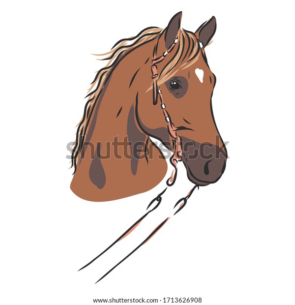 Realistic Horse Portrait Vector Illustration Horse Stock Vector ...