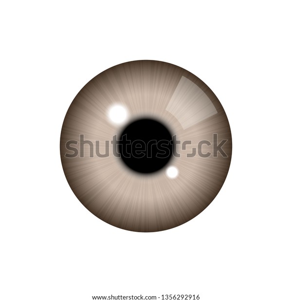Realistic Human Eye On White Background Stock Vector (Royalty Free ...