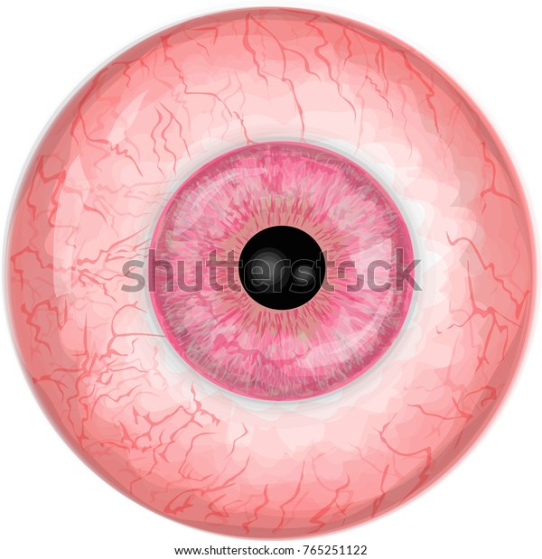 Realistic Human Eyeball Pink Iris Stock Vector (Royalty Free) 765251122