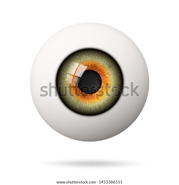 Free Vector Graphic Eye Human See Vision Look Free