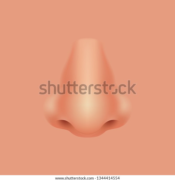 Realistic Human Nose Vector Illustration Stock Vector (Royalty Free ...