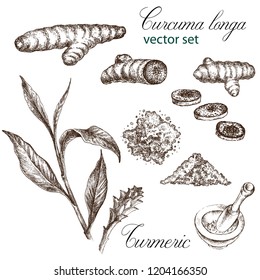 6,025 Turmeric vector Images, Stock Photos & Vectors | Shutterstock