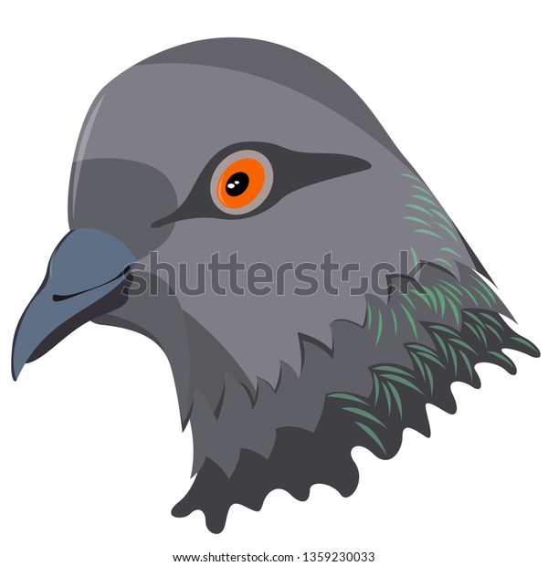 Realistic Image Pigeon Bird Head Vector Stock Vector (Royalty Free ...