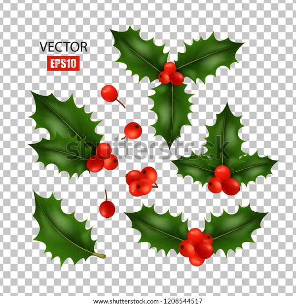Realistic Image Set Holly Different Variations Stock Vector (Royalty ...