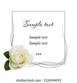 Realistic Ivory White Rose Card Stock Vector (Royalty Free) 1098130616