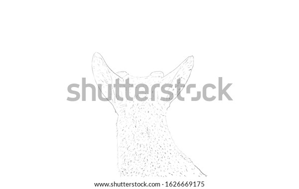 Realistic Line Drawing Deer Back View: เวกเตอร์สต็อก (ปลอดค่าลิขสิทธิ์ ...