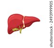 19,850 Bile Royalty-Free Images, Stock Photos & Pictures | Shutterstock