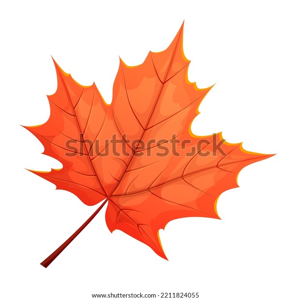 Realistic Maple Leaf Isolated On White Stock Vector (Royalty Free ...
