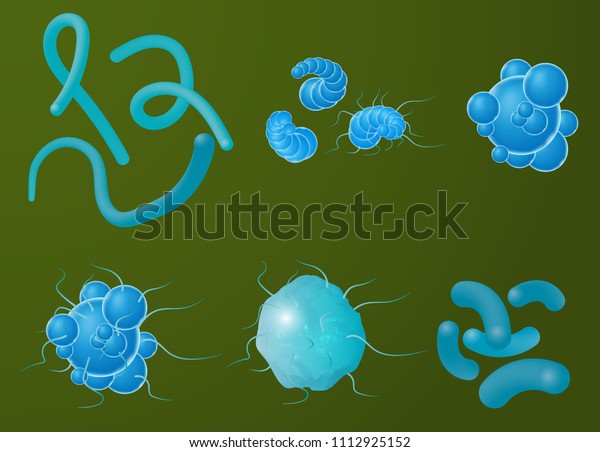 Realistic Microbes Bacteria True Life Microorganisms Stock Vector ...