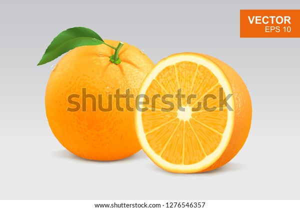Realistic Orange Vector Illustration Mockup Whole Stock Vector (Royalty ...