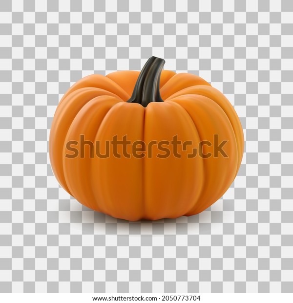 Realistic Pumpkin Isolated On Transparency Grid Stock Vector (Royalty ...