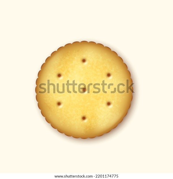 Realistic Round Salty Cookie Dry Cracker Stock Vector (Royalty Free ...
