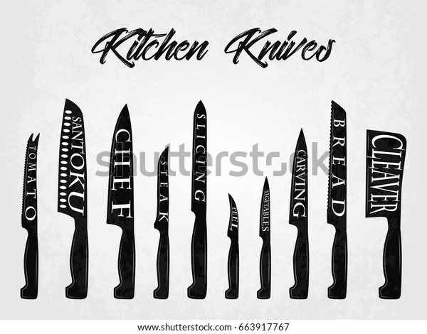 Realistic Set Kitchen Knives Names Vector Stock Vector (Royalty Free ...