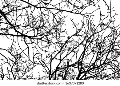 370 Gnarled tree Stock Vectors, Images & Vector Art | Shutterstock