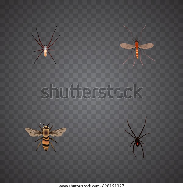 Realistic Spinner Spider Wisp Other Vector Stock Vector (Royalty Free ...