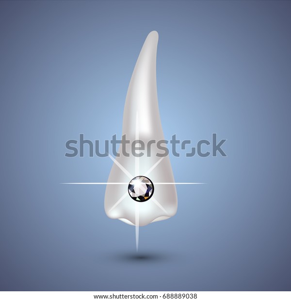Realistic Teeth Anatomy Illustration Stock Vector (Royalty Free ...