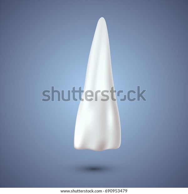 Realistic Teeth Anatomy Illustration: vector de stock (libre de ...