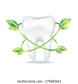 Realistic Tooth Leaf 10 File Stock Vector (Royalty Free) 179683661 ...