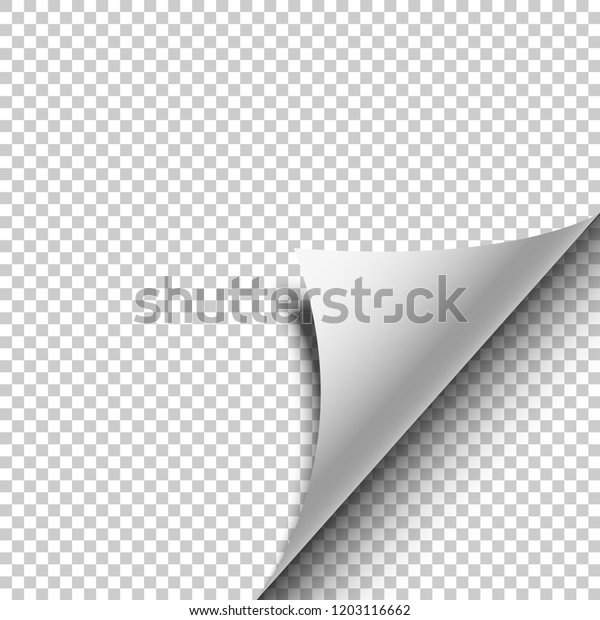 Realistic Transparent Curled Corner Shadow Eps10 Stock Vector (Royalty ...