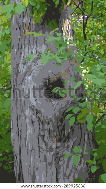 Realistic Tree Hole Vector Illustration Summer Stock Vector (Royalty ...