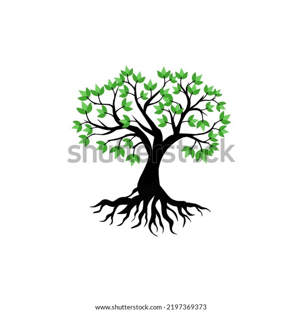 Realistic Tree Roots Isolated On White Stock Vector (Royalty Free ...