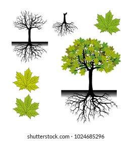 Realistic Tree Silhouettetree Roots Vector Illustrationeps10 Stock ...