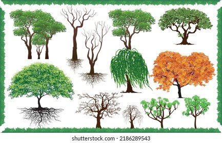 Realistic Trees Collection Isolated White Background Stock Vector ...