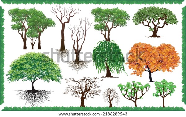 Realistic Trees Collection Isolated White Background Stock Vector ...