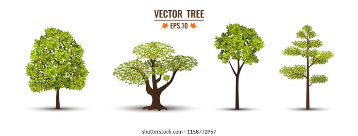 Collection Realistic Vector Trees Perspective View Stock Vector ...
