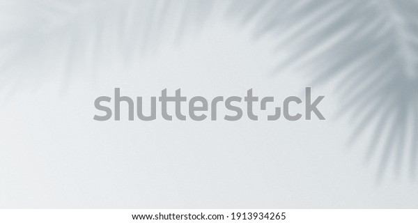 Realistic Tropical Shadow Overlay Effect On Stock Vector (Royalty Free ...