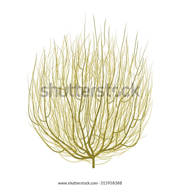 Realistic Tumbleweed Stock Vector (Royalty Free) 315958388 | Shutterstock
