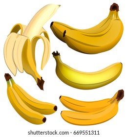 5,451 Four banana Images, Stock Photos & Vectors | Shutterstock