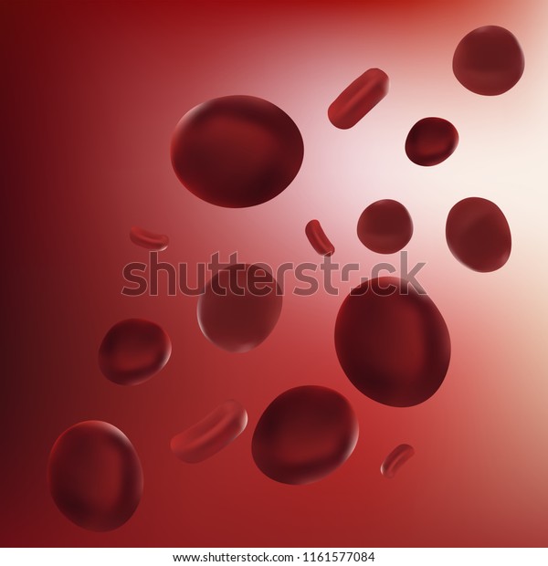Realistic Vector Illustration Red Blood Cell Stock Vector (Royalty Free ...