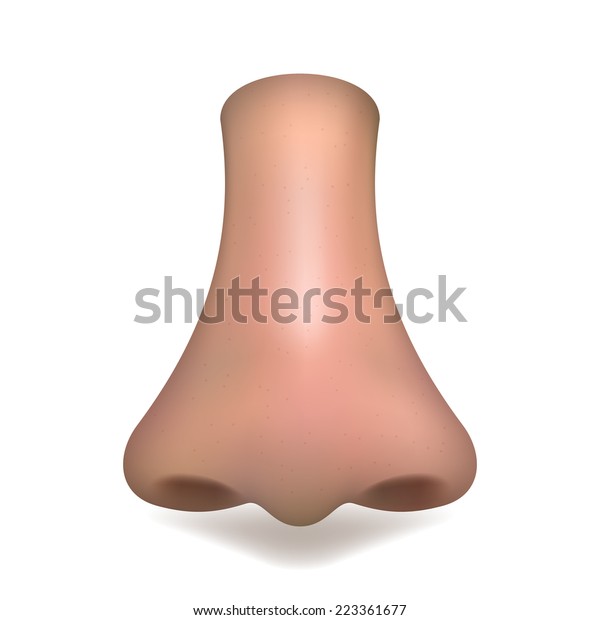 Realistic Vector Nose Isolated On White: เวกเตอร์สต็อก (ปลอดค่า ...