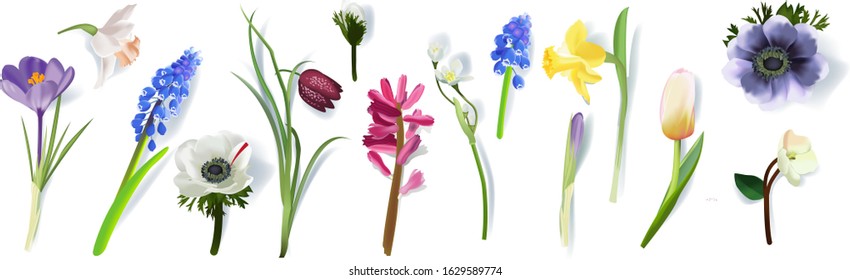 Realistic Vector Spring Flowers Isolated On Stock Vector (Royalty Free ...