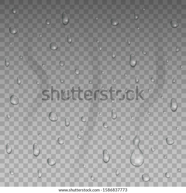 Realistic Vector Water Drops Transparent Background Stock Vector ...