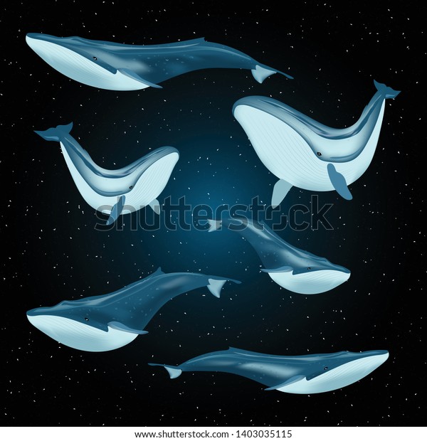 Realistic Whales Color Vector Set On: vector de stock (libre de ...