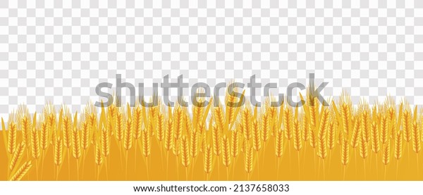 Realistic Wheat Field Wheat On Transparent Stock Vector (Royalty Free ...