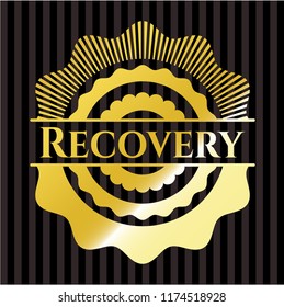 Recovery Gold Emblem Stock Vector (Royalty Free) 1174518928 | Shutterstock