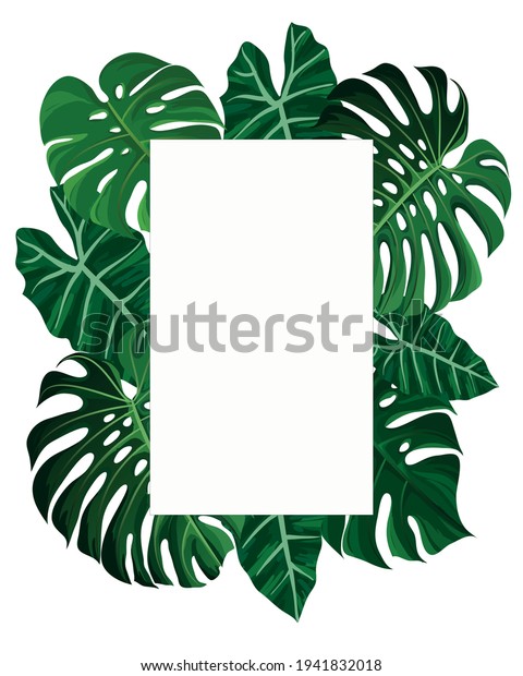 10,931 imágenes de Palm frond frame - Imágenes, fotos y vectores de ...