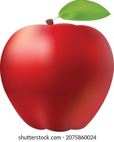 Red Apple Vector Realistic Illustration Stock Vector (Royalty Free ...
