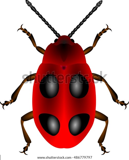 Red Beetle Black Spots On White Stock Vector (Royalty Free) 486779797 ...