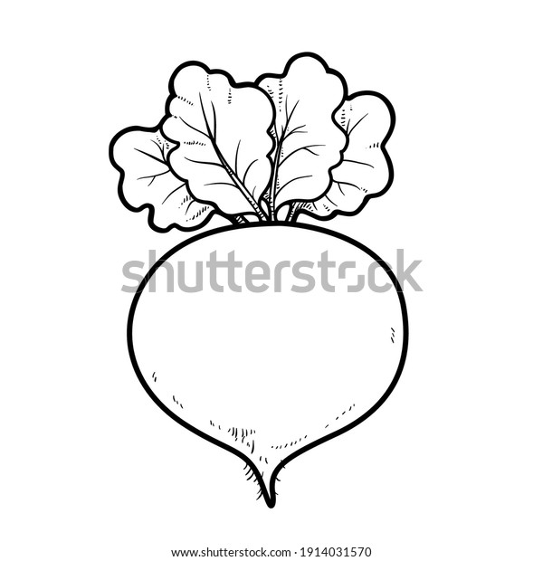 3,057 Beetroot Outline Images, Stock Photos & Vectors | Shutterstock