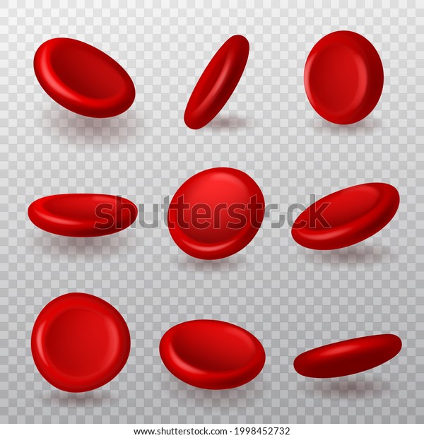 Red Blood Cells Realistic 3d Erythrocytes Stock Vector (Royalty Free ...