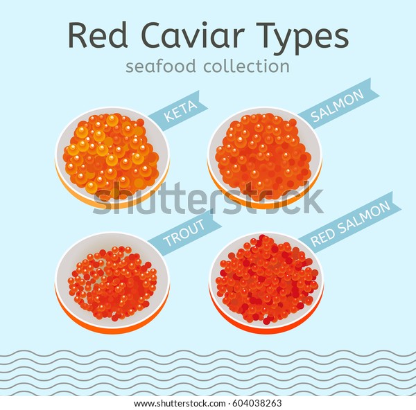 Red Caviar Types Image Beautiful Illustration Stock Vector (Royalty ...