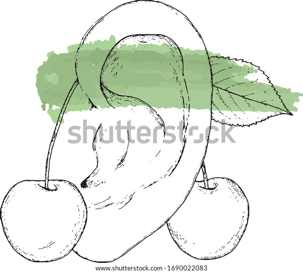 Red Cherry Drawing Sketch Illustration Stock Vector (Royalty Free ...