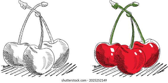 Red Cherry Sketch Draw Isolated Over Stock Vector (Royalty Free ...