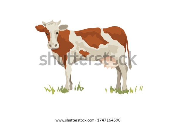 Red Cow Vector Illustration On Theme Stock Vector (Royalty Free) 1747164590