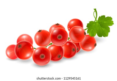 5,752 Red currant draw Images, Stock Photos & Vectors | Shutterstock
